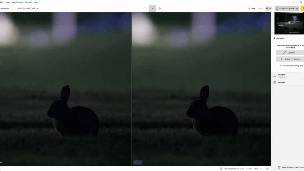 Wildlife photography at night: animal photography flash & technique ...